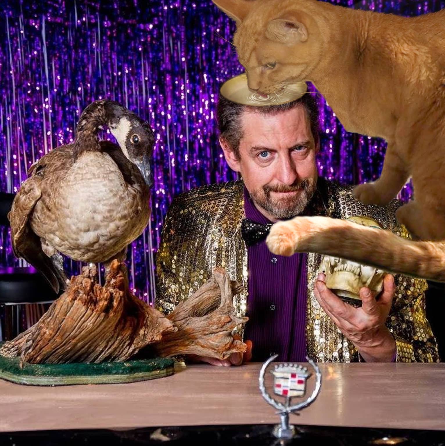 The Cadillac Bill Show | Official Website